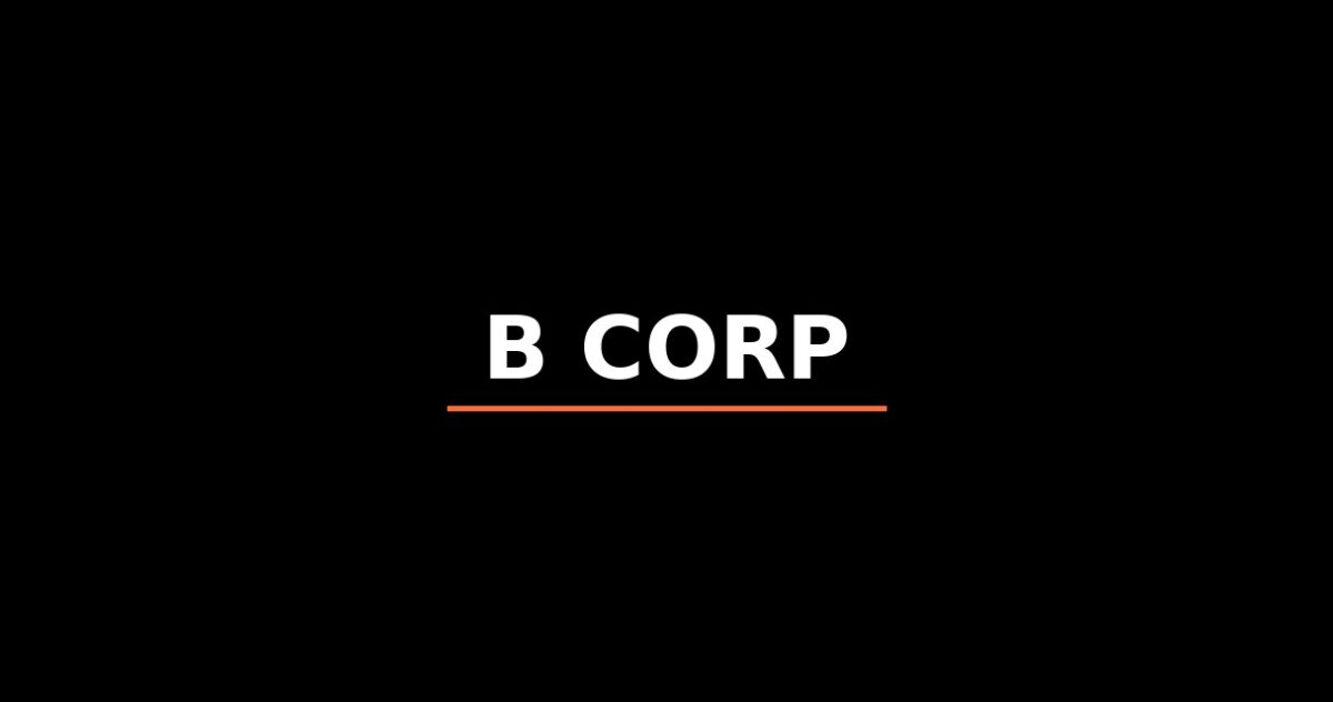 B Corp: ¿Qué es una Empresa B? Guía Completa 2026 y Requisitos